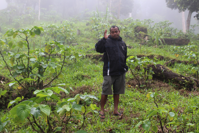 Tutu Rural Training Centre - Pacific Farmer Organisations