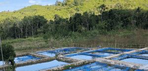 National Aquaculture Forum - Pacific Farmer Organisations