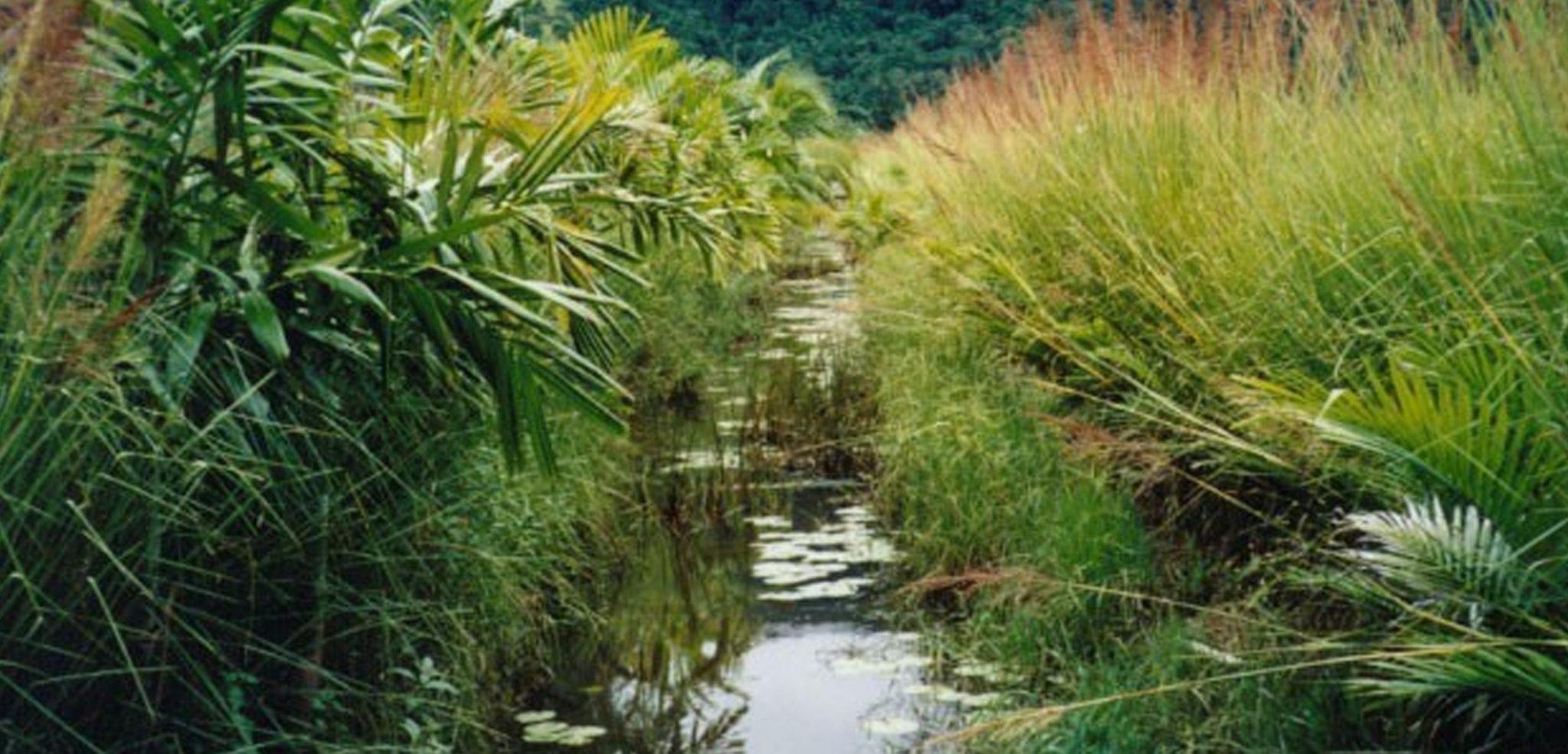 Erosion Control - Pacific Farmer Organisations