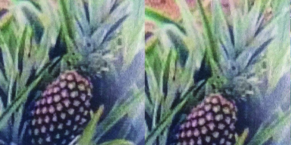 Pineapple Planting Material