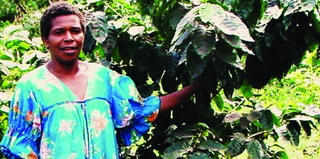Farm Support Association – Vanuatu and Tanna Coffee Conduct Farmers ...