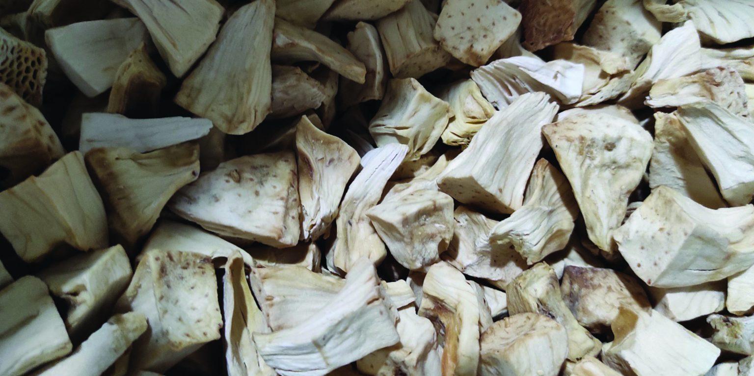 Breadfruit For Local Food Security In The Solomon Islands