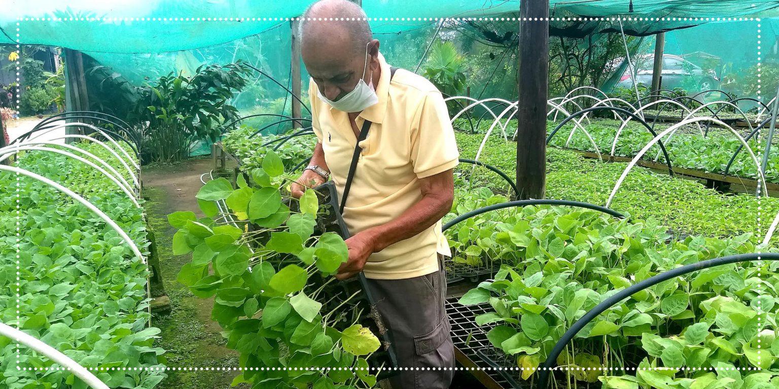 “I have a vision that Fiji’s fresh produce industry will continue to grow”
