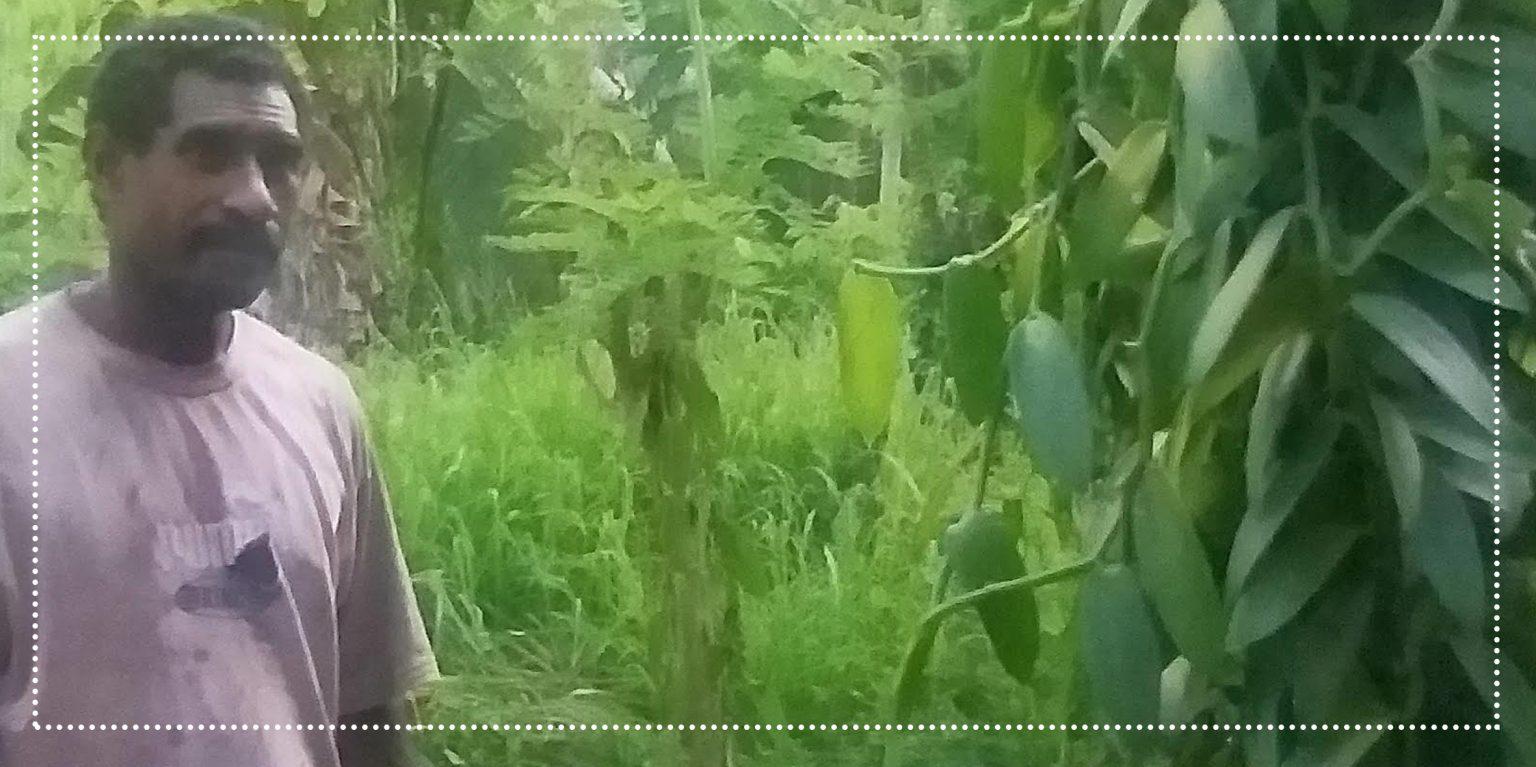 Vanilla Technical Session | Flower Induction - Shade Reduction
