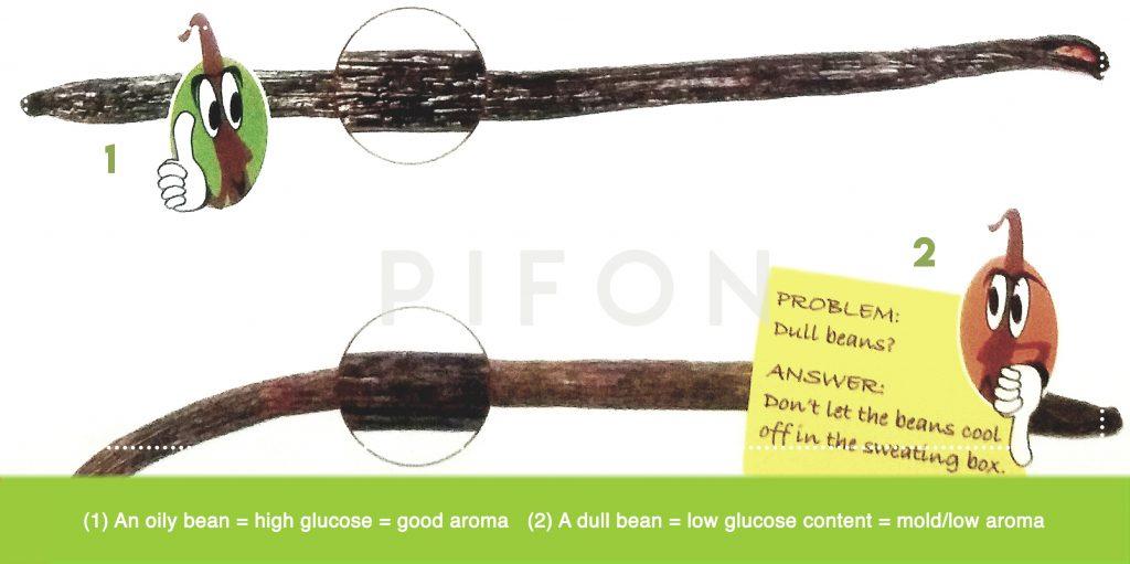 Vanilla Technical Session | Vanilla Curing Day 3-18 : Sun Curing