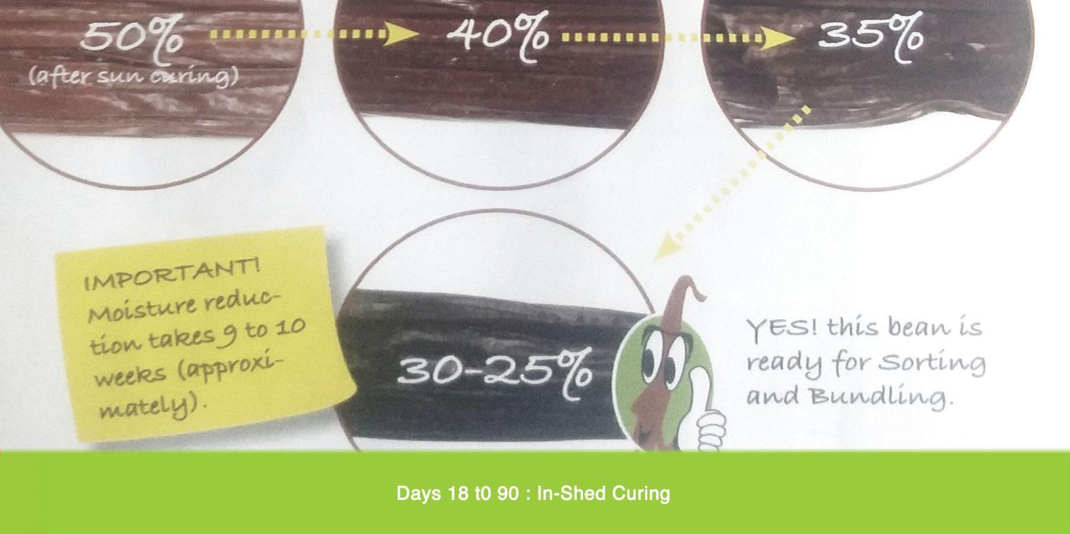 Vanilla Technical Session | Vanilla Curing Day 18-90 : In-Shed Curing