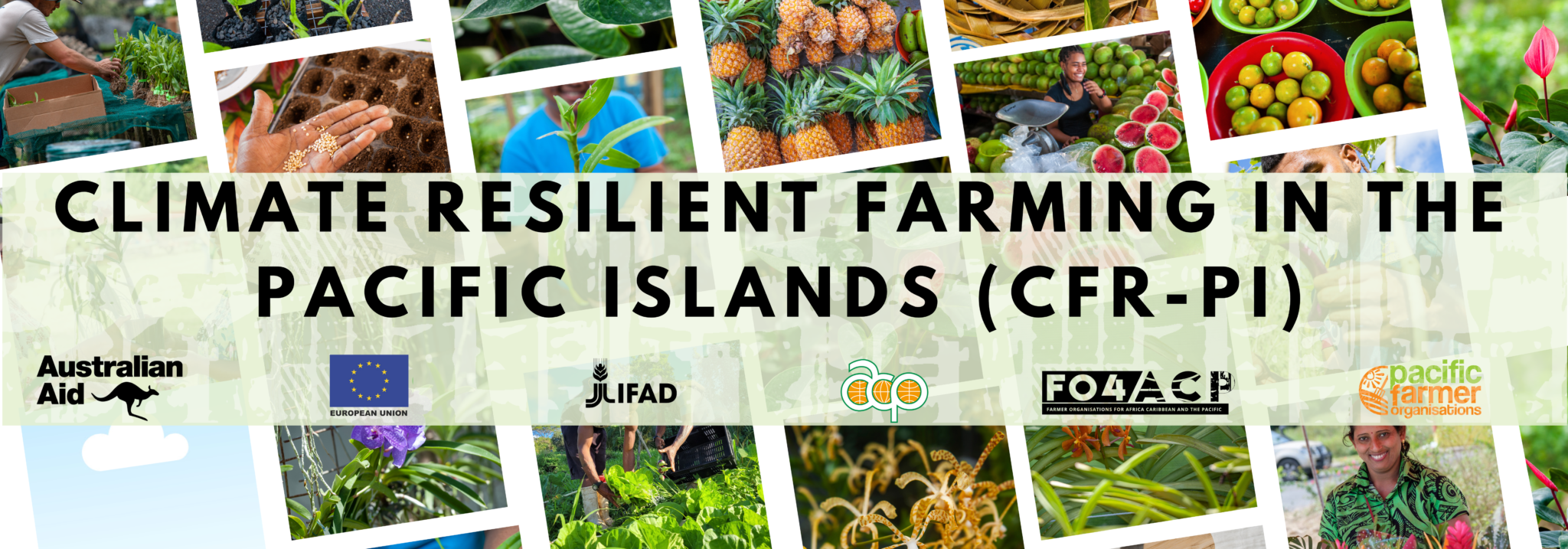 Climate Resilient Farming in the Pacific - CRF Factsheet