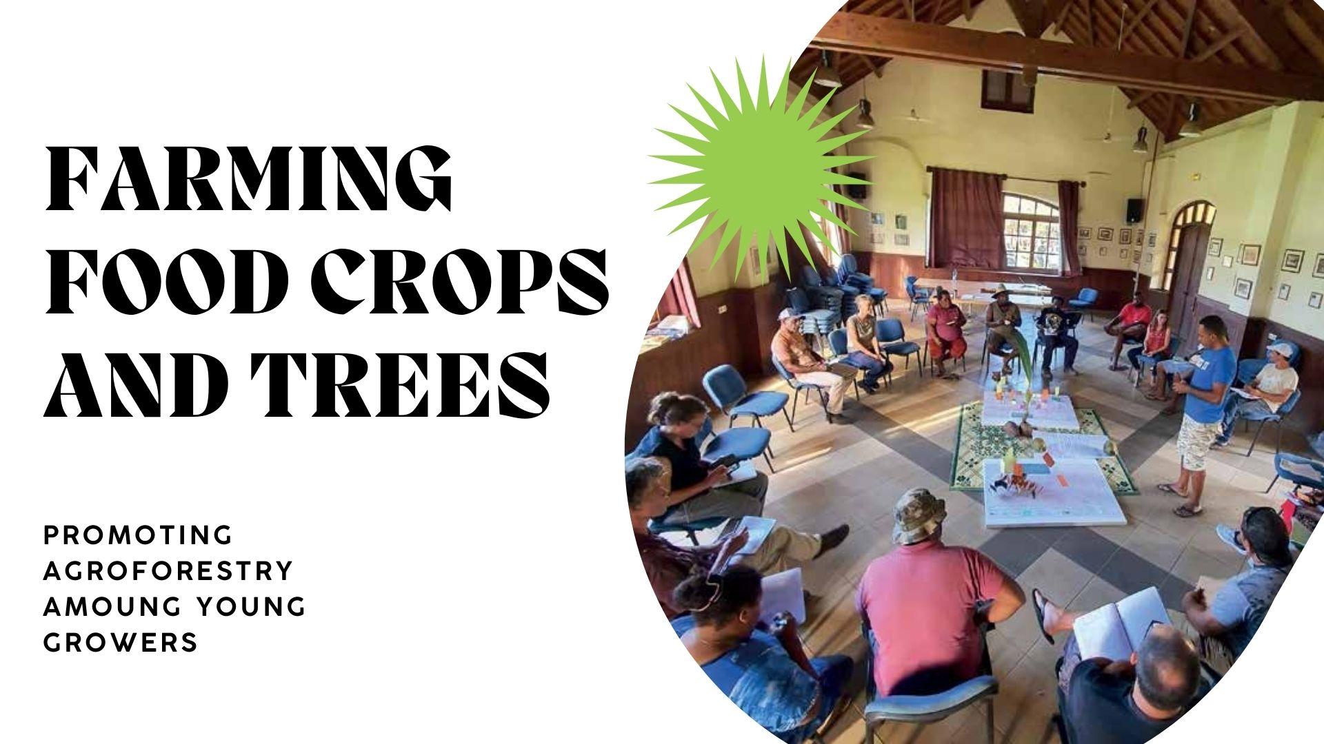 Farming Food Crops And Trees - Promoting Agroforestry Among Young Growers