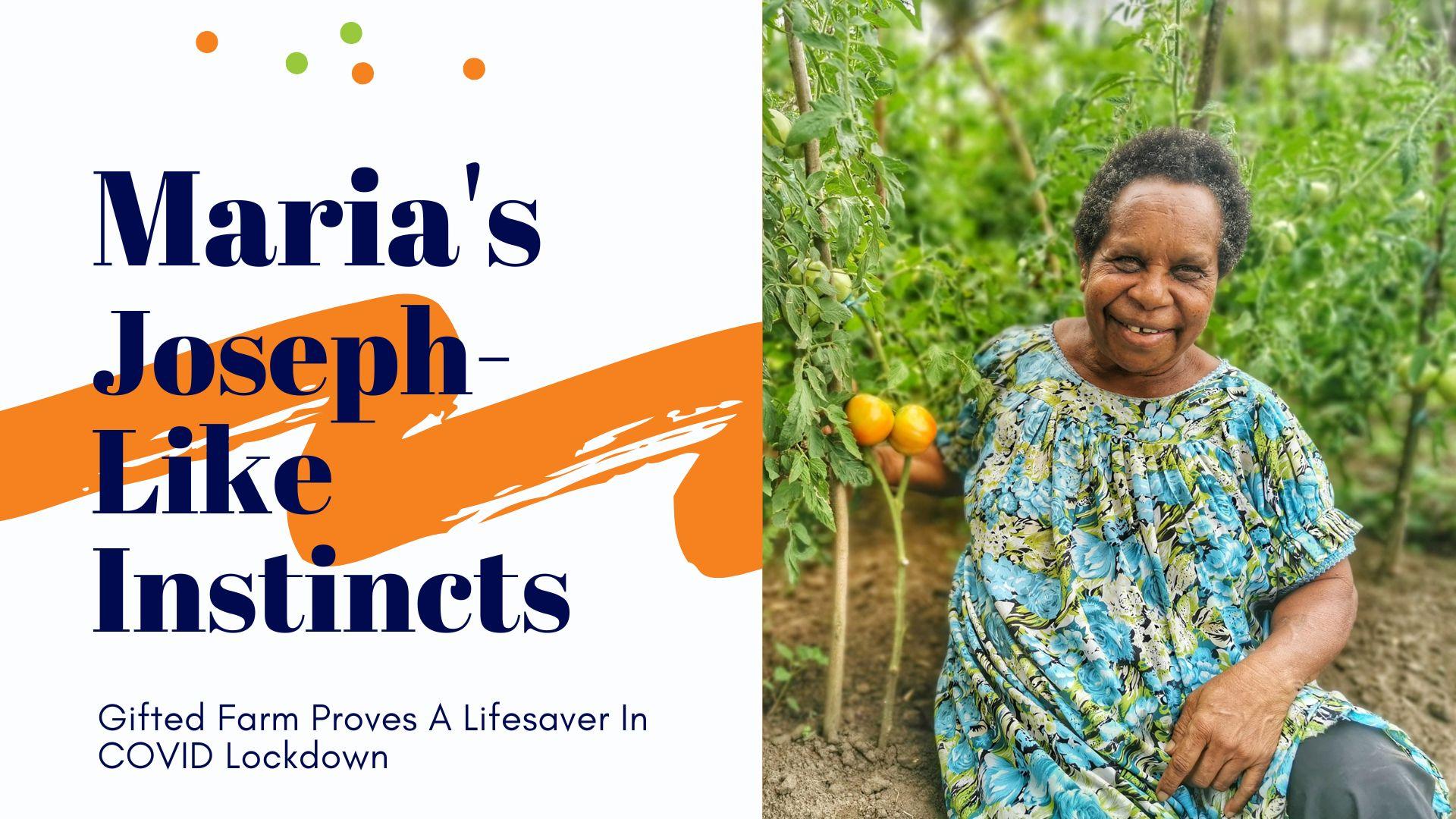 Maria's Joseph-Like Instincts - Gifted Farm Proves A Lifesaver In Covid ...