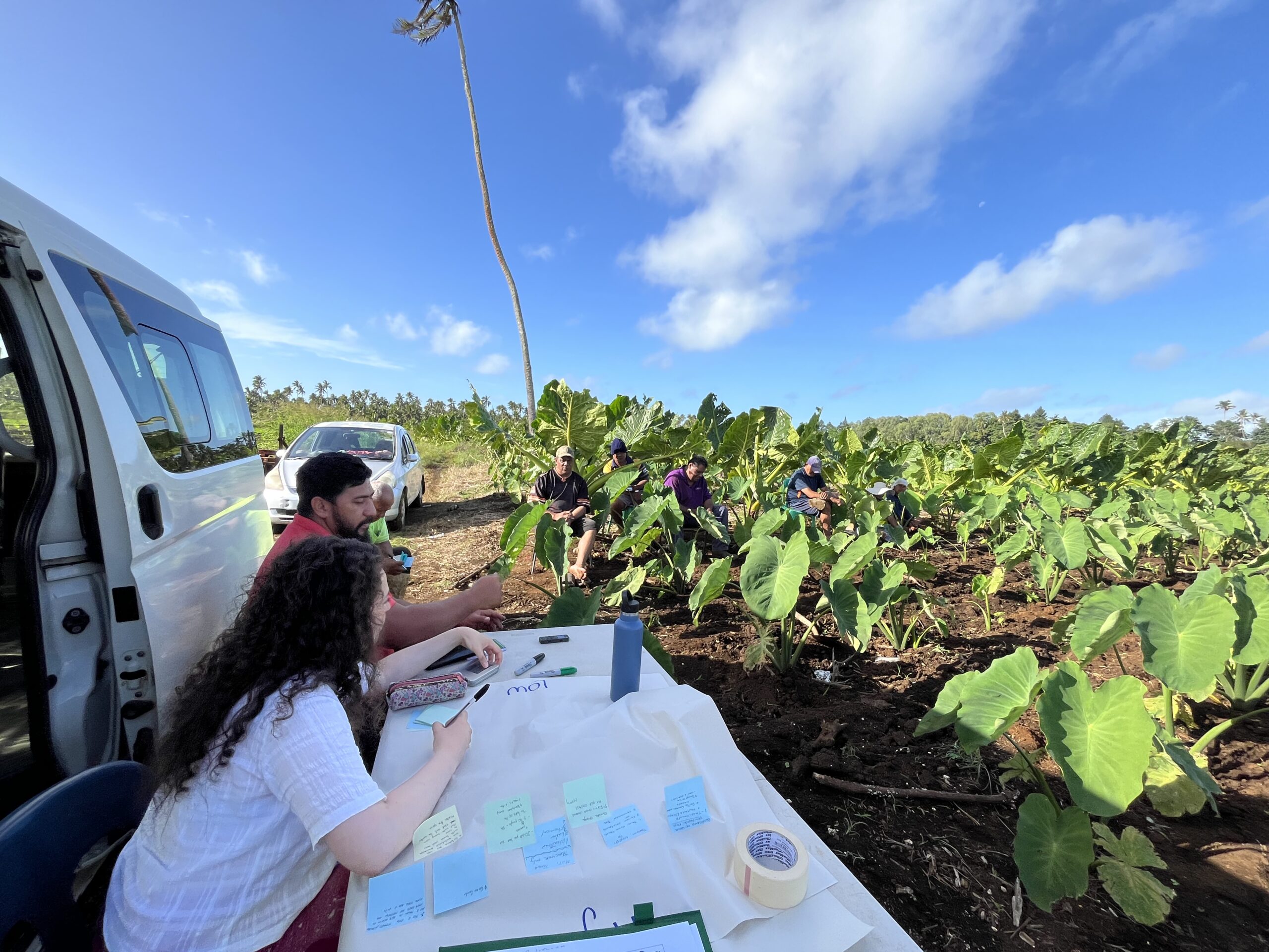 Climate Adaptation in the Pacific Islands through a Gender Lens
